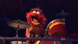 Dancing with the Stars | Muppet Wiki | Fandom