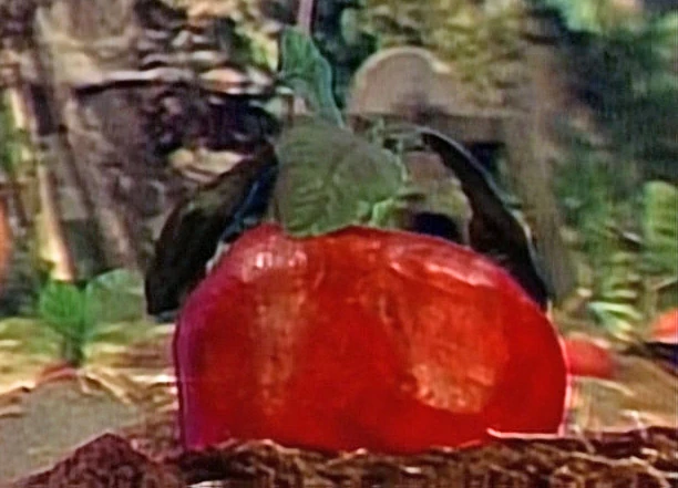 Radishes | Muppet Wiki | Fandom