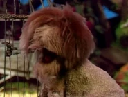 Skenfrith | Muppet Wiki | Fandom