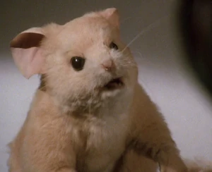 Luke as Mouse | Muppet Wiki | Fandom