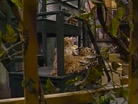 The arbor | Muppet Wiki | Fandom