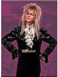 Labyrinth magnets (Aquarius) | Muppet Wiki | Fandom