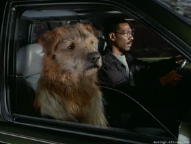 Lucky (Dr. Dolittle) | Muppet Wiki | Fandom