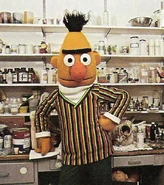 Bert walk-arounds | Muppet Wiki | Fandom