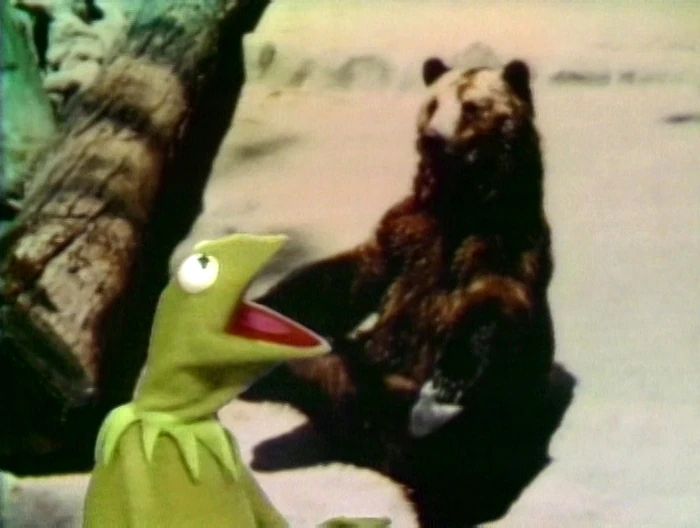 Kermit Lecture: Bear Exercises | Muppet Wiki | Fandom