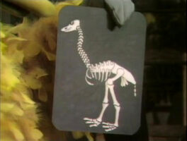 Big Bird's family | Muppet Wiki | Fandom