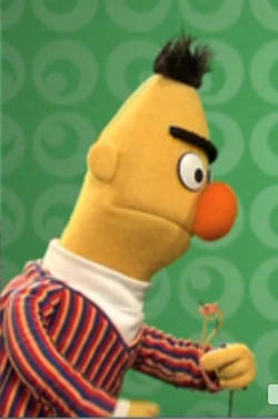 Unibrow Bert