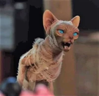 Mummies | Muppet Wiki | Fandom