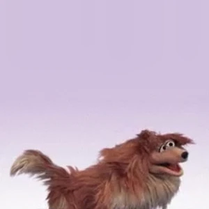 Iggy | Muppet Wiki | Fandom