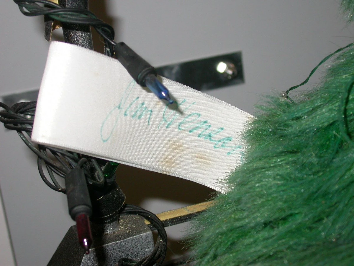 Spruce Springsteen | Muppet Wiki | Fandom