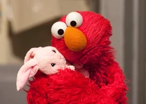 Episode 4264 | Muppet Wiki | Fandom