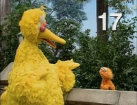 17 | Muppet Wiki | Fandom