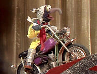 Gonzo's stunts | Muppet Wiki | Fandom