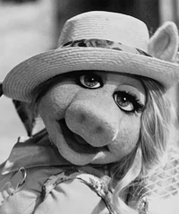 Episode 401: John Denver | Muppet Wiki | Fandom