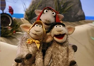 Baabra Sheep | Muppet Wiki | Fandom