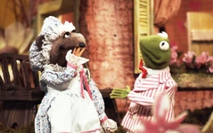 The Muppets Valentine Show | Muppet Wiki | Fandom