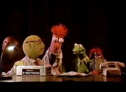 The Muppet Show Live | Muppet Wiki | Fandom