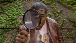 Episode 4205 | Muppet Wiki | Fandom