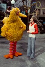 Julie on Sesame Street | Muppet Wiki | Fandom