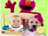 Category:International Sesame Street Video | Muppet Wiki | Fandom