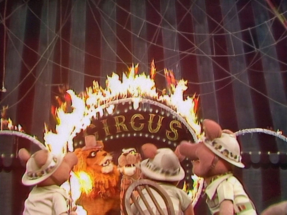 Hold That Tiger | Muppet Wiki | Fandom