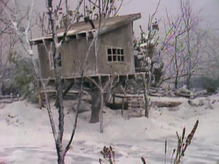 The Tree House | Muppet Wiki | Fandom