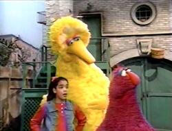 Episode 3703 | Muppet Wiki | Fandom