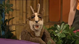 Sandbox:Bambaloo characters | Muppet Wiki | Fandom