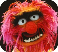 Meet Jim Henson's Muppets | Muppet Wiki | Fandom