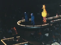 Sleeping Birdie | Muppet Wiki | Fandom