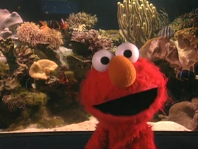 Ocean Emotion | Muppet Wiki | Fandom