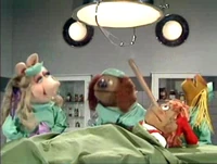 Muppets with elongated body parts | Muppet Wiki | Fandom