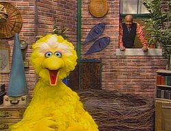 Episode 3370 | Muppet Wiki | Fandom