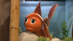 Bambaloo | Muppet Wiki | Fandom