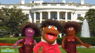 Episode 4275 | Muppet Wiki | Fandom