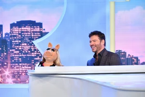 Harry (talk show) | Muppet Wiki | Fandom