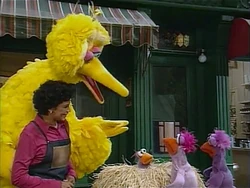 Episode 3854 | Muppet Wiki | Fandom