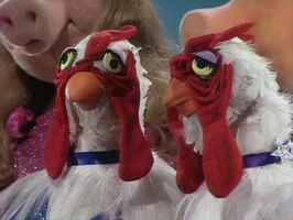 Eren Ozker characters | Muppet Wiki | Fandom