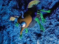 Rumble Bugs | Muppet Wiki | Fandom