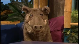 Sandbox:Bambaloo characters | Muppet Wiki | Fandom