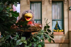 Episode 5413 | Muppet Wiki | Fandom