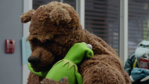 Bobo the Bear | Muppet Wiki | Fandom