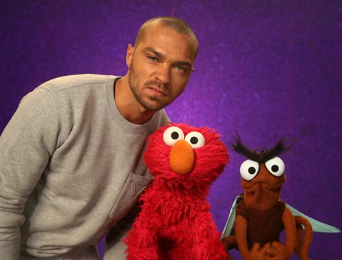 Jesse Williams | Muppet Wiki | Fandom