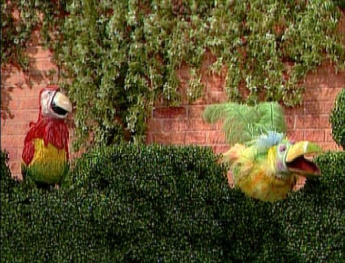 Royal Birds | Muppet Wiki | Fandom