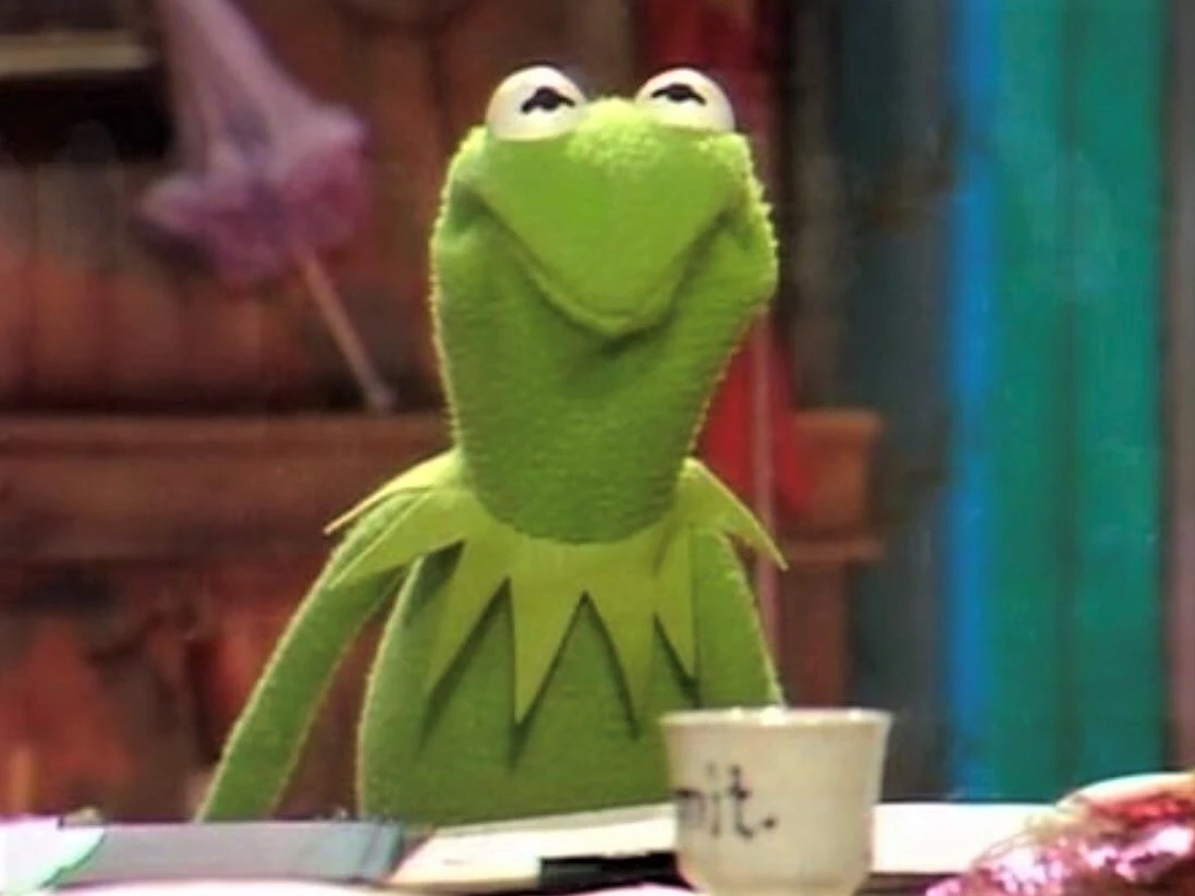 Kermit The Frog Reaction Face