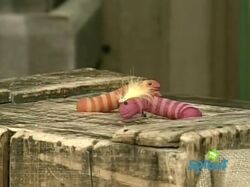 Episode 3882 | Muppet Wiki | Fandom