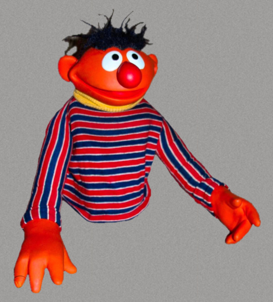Category:Sesame Street Puppets | Muppet Wiki | Fandom