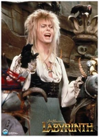 Labyrinth posters (Plastic Meatball) | Muppet Wiki | Fandom