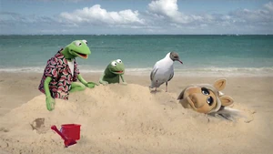 The Muppets (Germany) | Muppet Wiki | Fandom