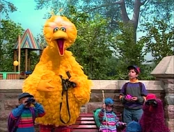 Episode 3187 | Muppet Wiki | Fandom